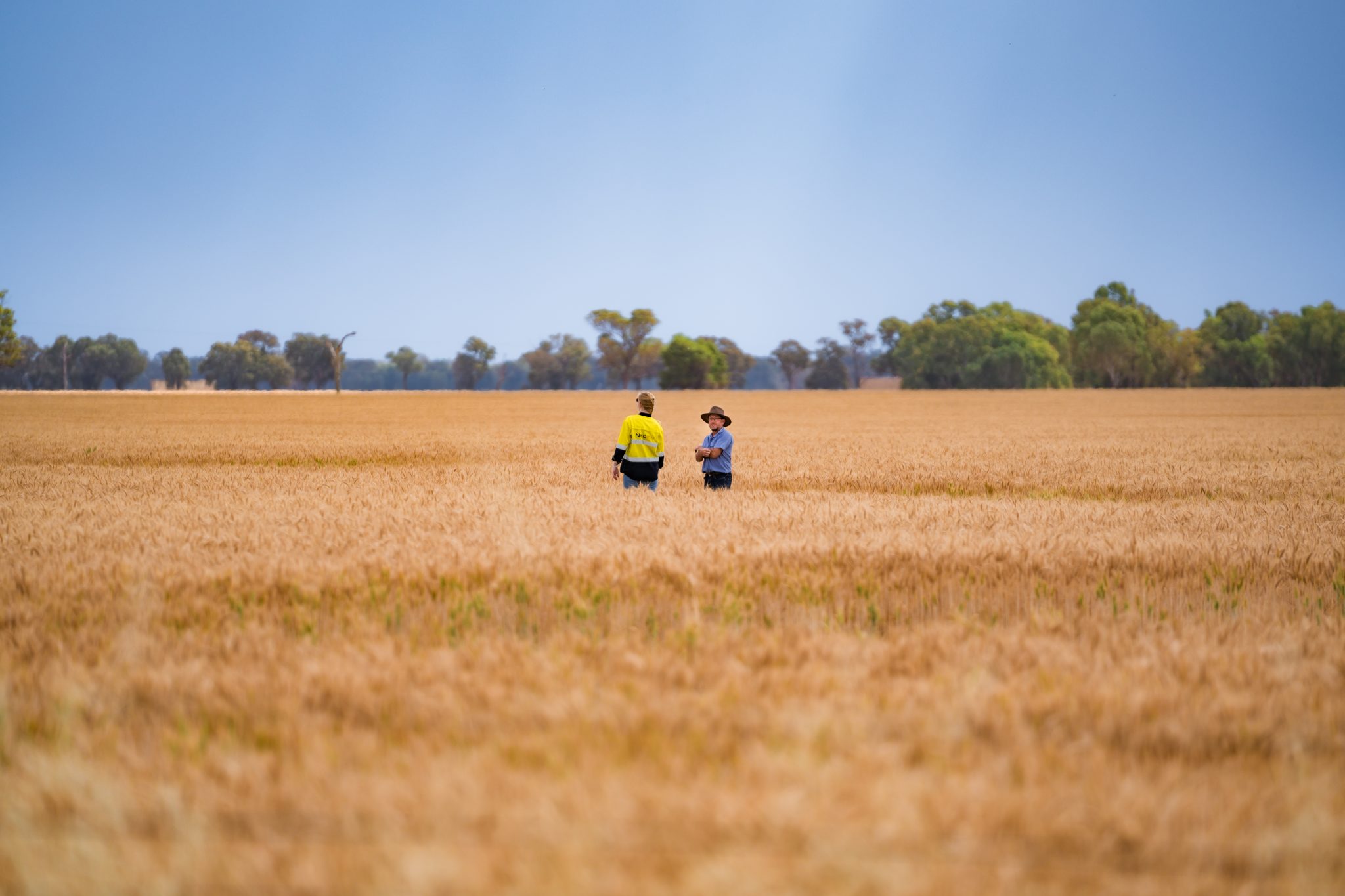 Our Vision - Culcairn Solar Farm